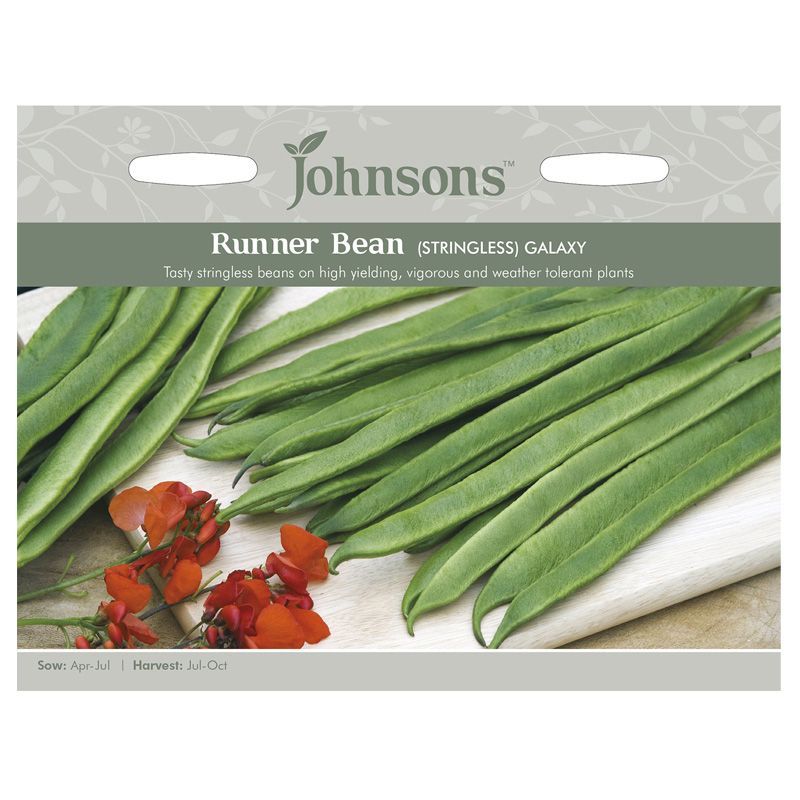 Johnsons Runner Bean Stringless Galaxy Seeds – Lathams of Potter Heigham